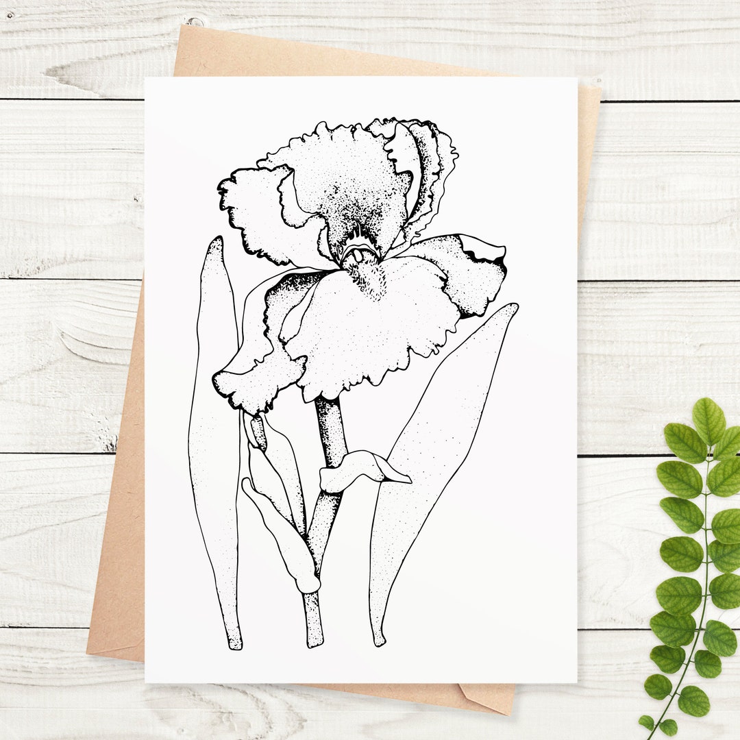 Iris Svg Png Jpg Files for Canva and Crafting Wildflower Clip Art ...
