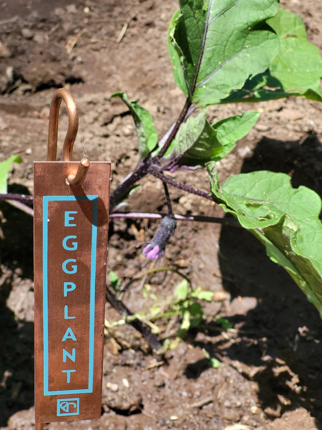 Custom Copper Herb and Garden Tag With 10" Copper Stake (your Choice ...