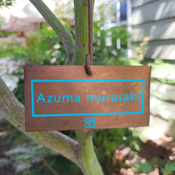 Tree Branch Tag - Etsy