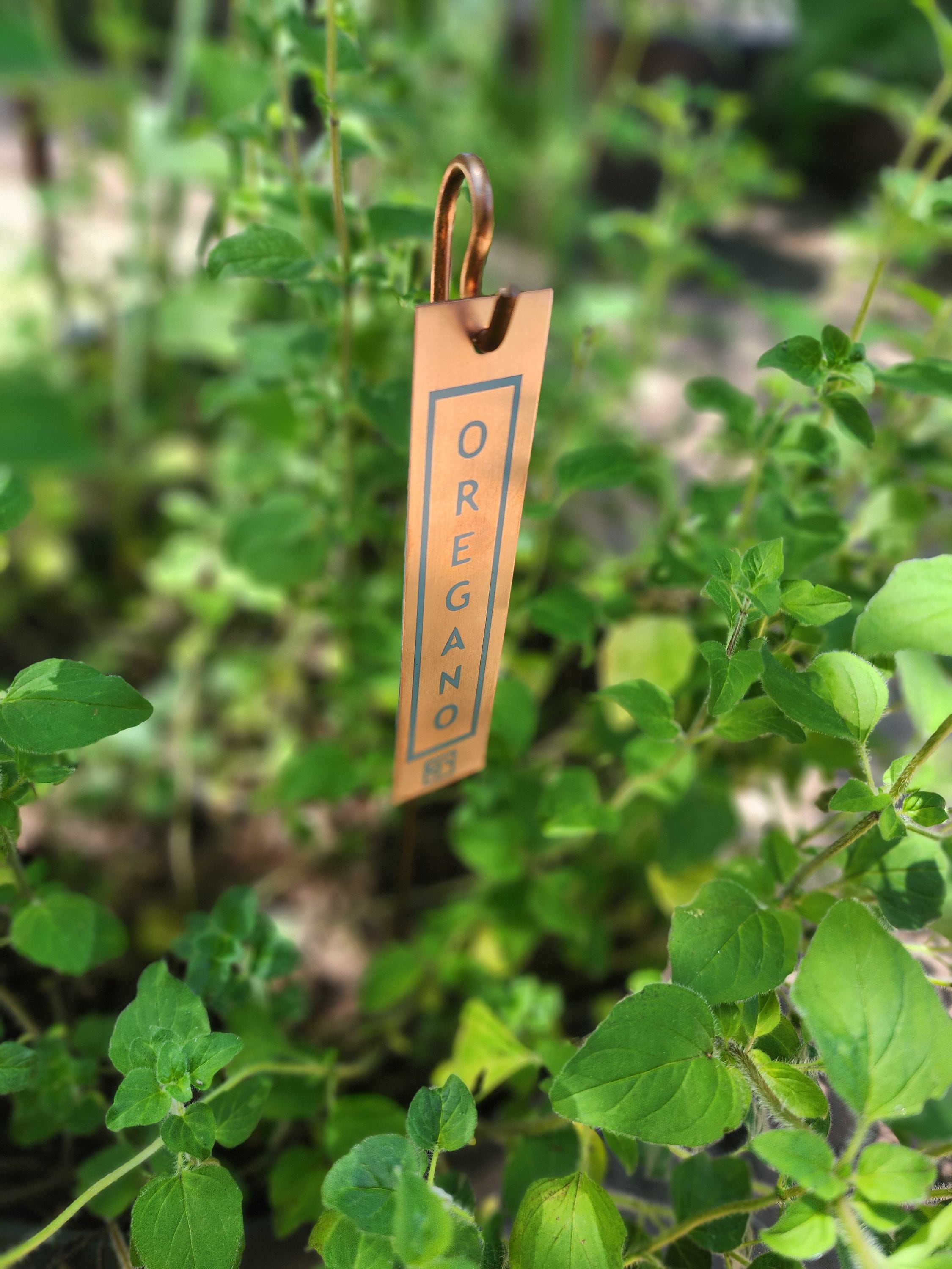 Solid Copper Garden Sheperd's Crook Plant Tag Label Marker Hanger ...