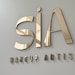 Custom Acrylic Mirror Sign for Salons, Studios & Spas – Elegant 3D Logo ...