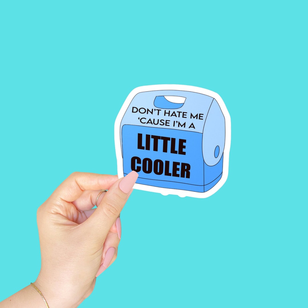 Little Cooler Vinyl Sticker Vinyl Decal Sticker for Laptops - Etsy