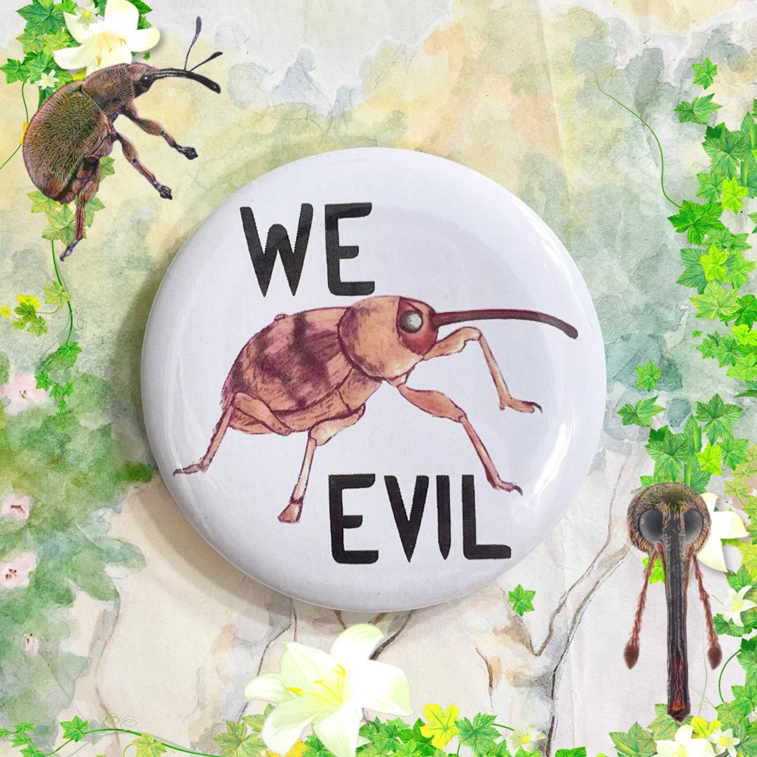 Weevil ‘we Evil’ Silly Insect JUMBO 58 Mm Pinback Button! - Etsy
