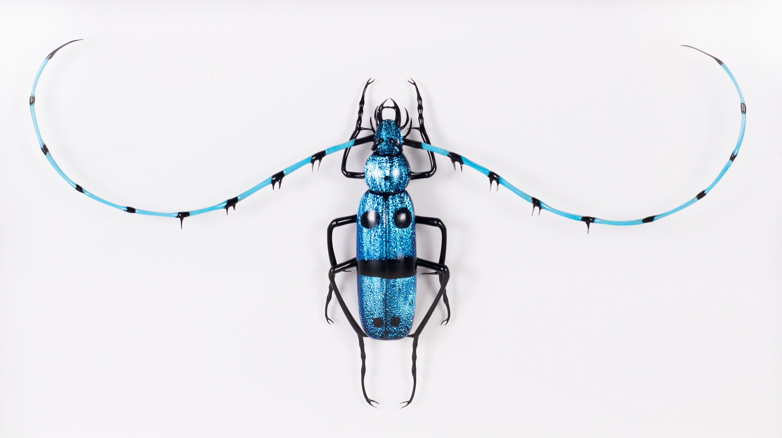 Murano Glass Beetle Rosalia Alpina Glass Insect - Etsy