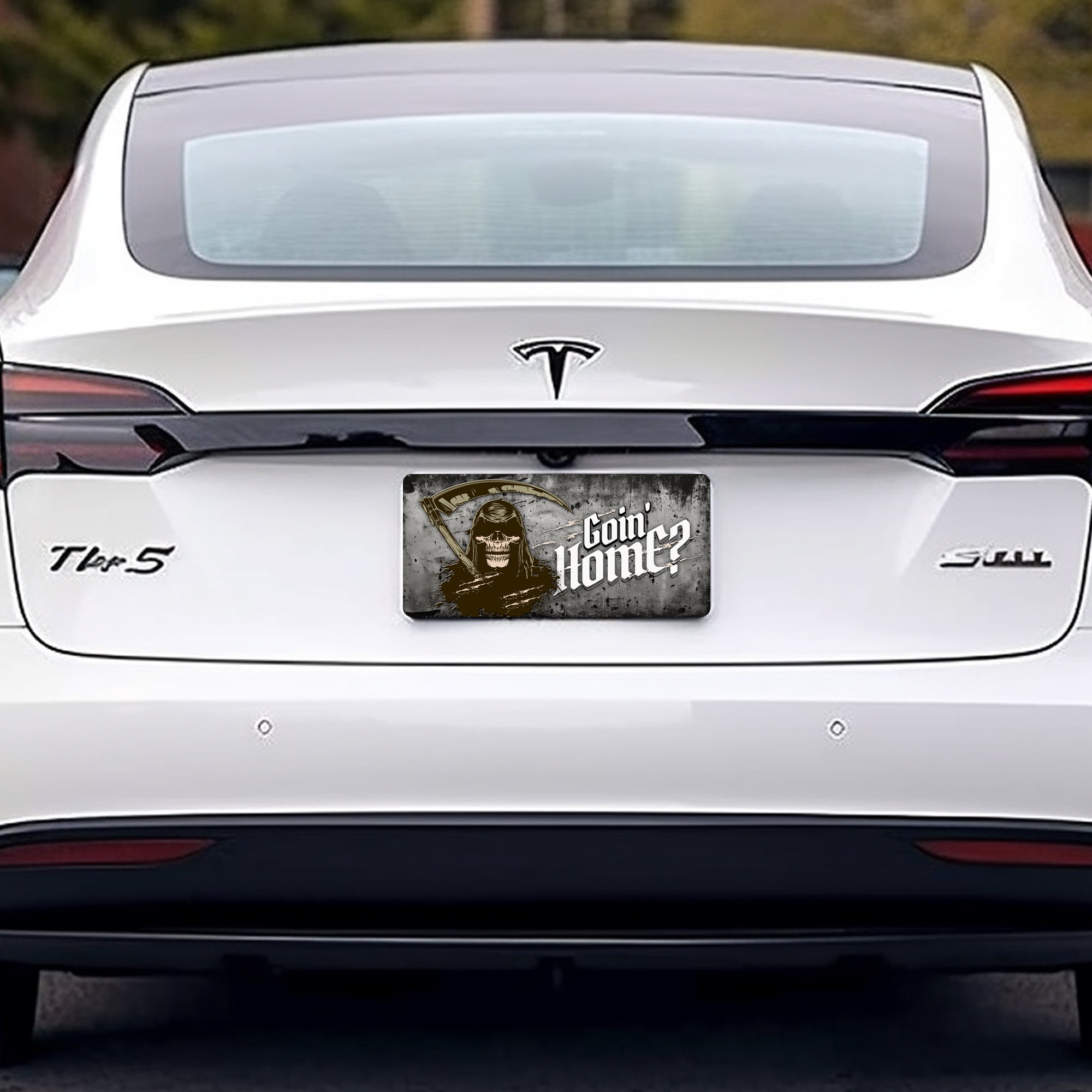 Skull Grim Reaper Goin' Home Car License Plate PNG 300 - Etsy