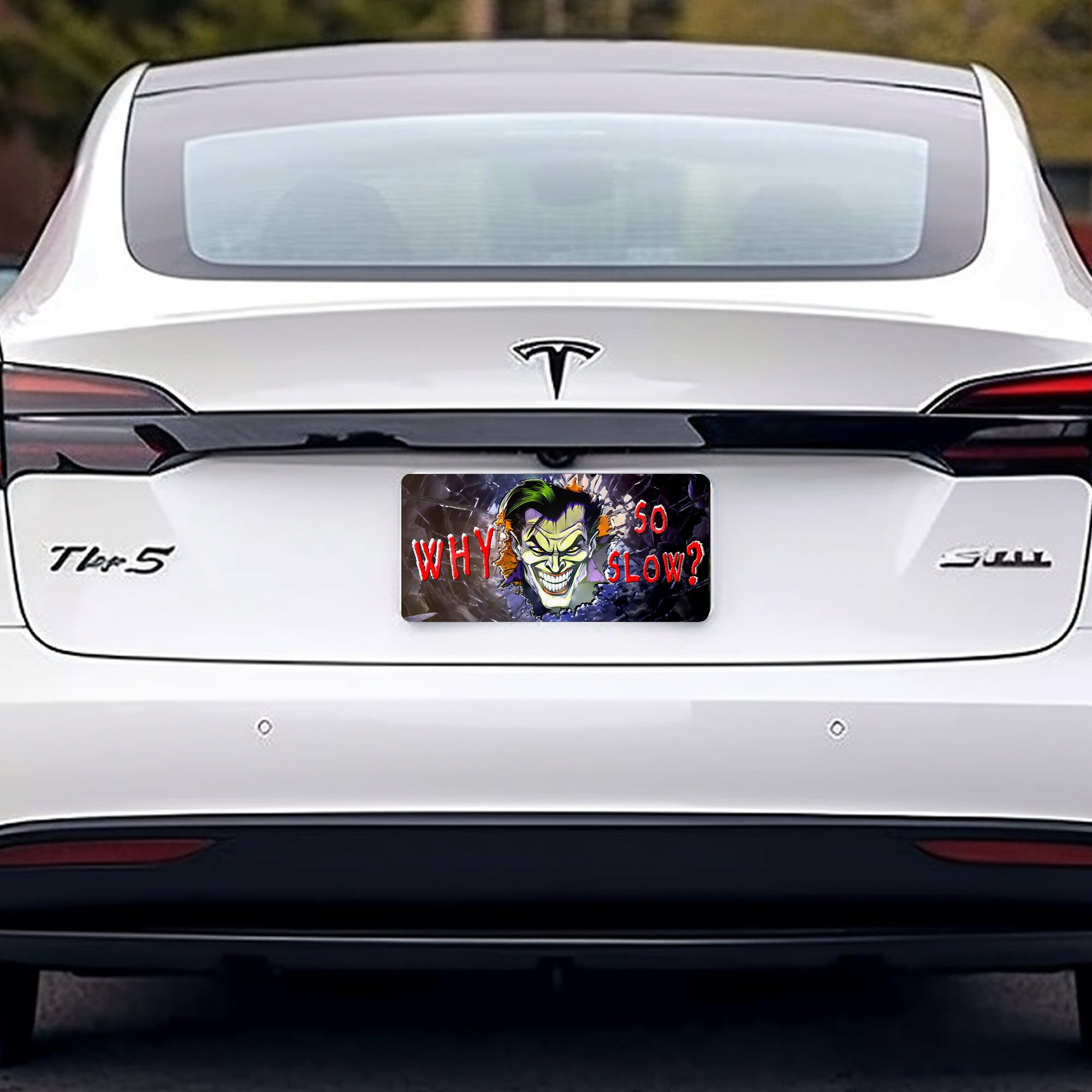 Why so Slow Car License Plate PNG, 300 DPI Instant Digital Download ...