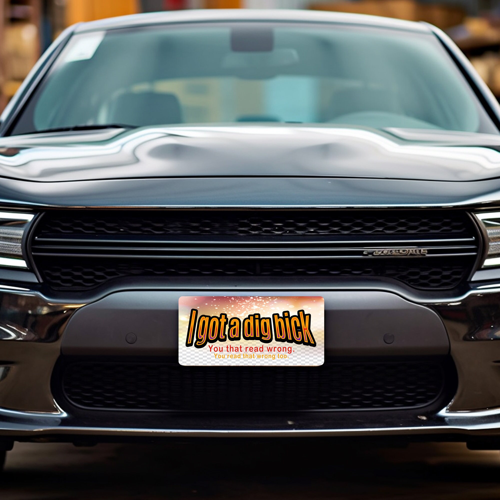 Funny Car License Plate PNG Design: 'you Read It Wrong' (digital ...