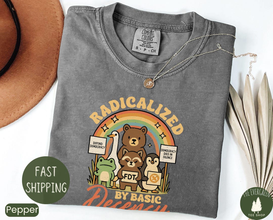 Radicalized by Basic Decency Goose Comfort Colors Shirt, Anti Trump ...