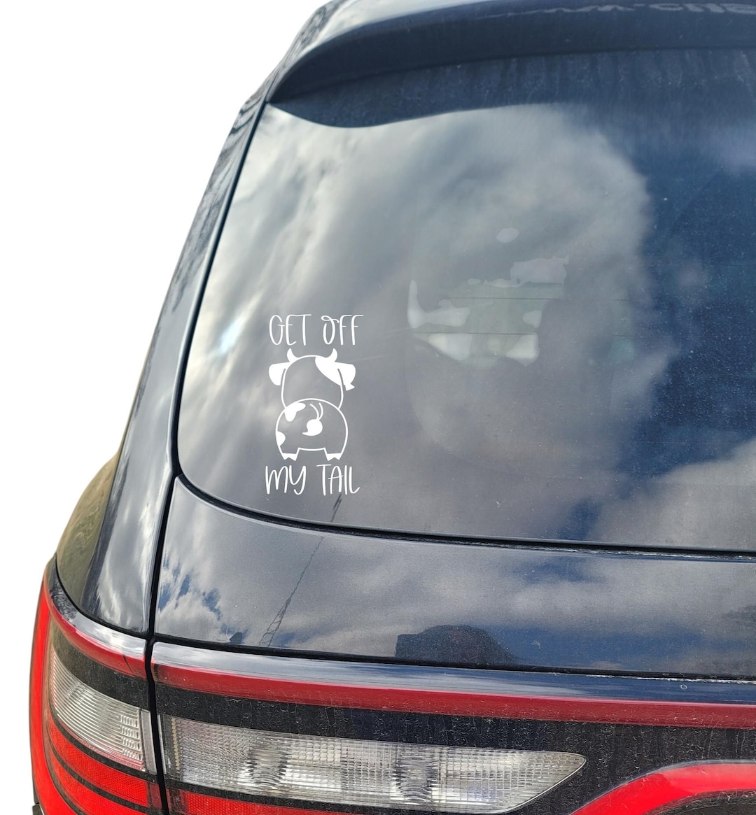 Funny Car Decal, 