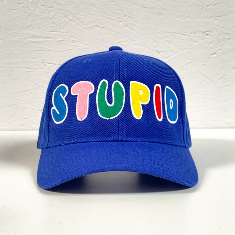 Stupid Hat - Colorful Embroidered Baseball Cap - Etsy