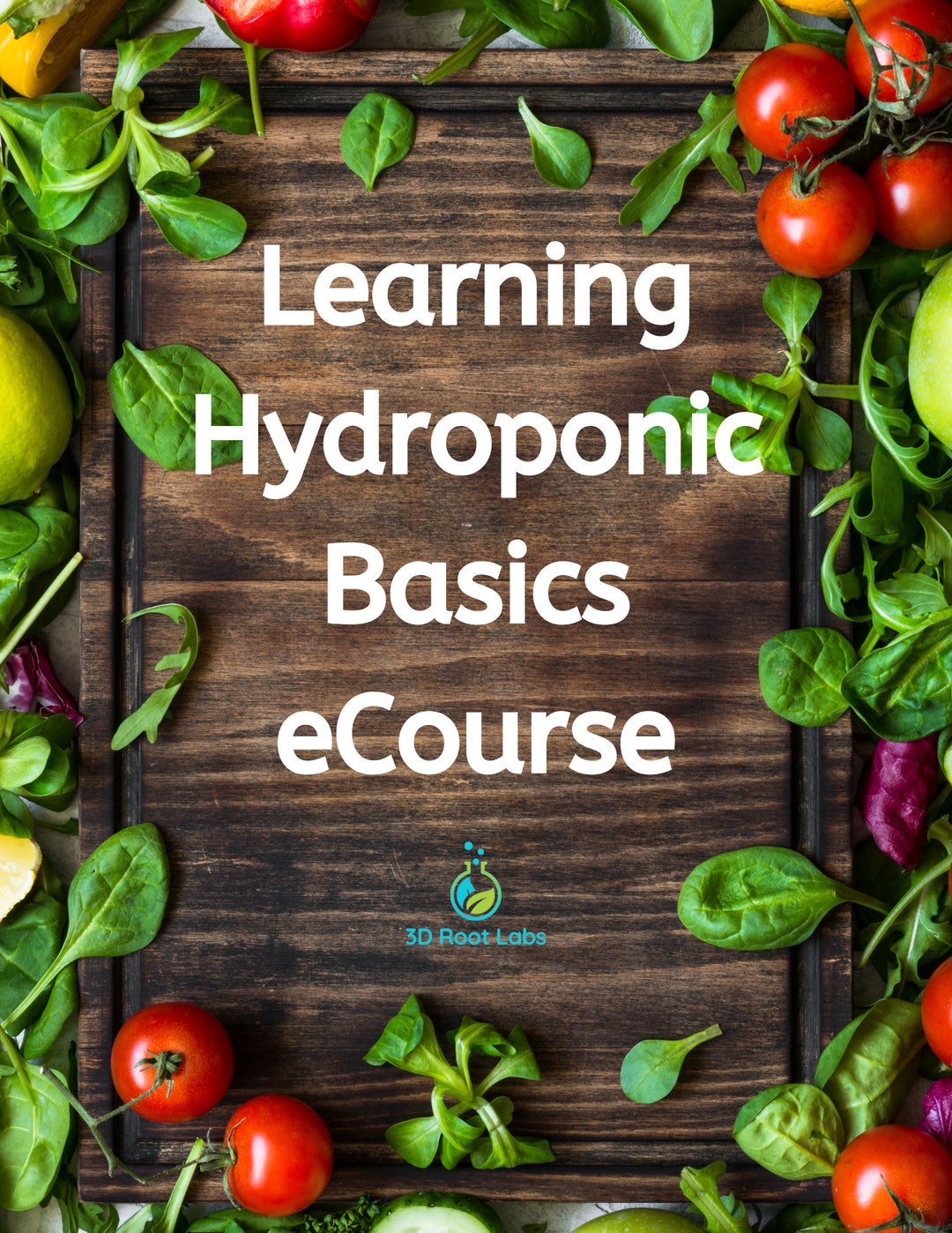 Learning Hydroponic Basics Ecourse - Etsy