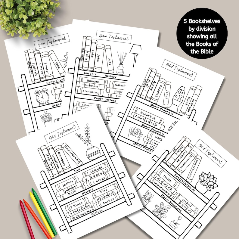 Books of the Bible Coloring Pages, Old & New Testament Activity PDF - Etsy