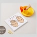 Prayer Bible Lesson Activity Kit, Printable Five Finger Guide and ...