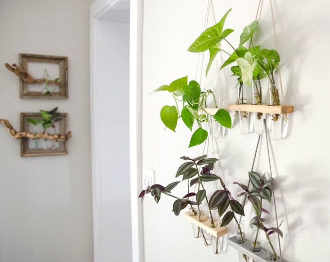 Hanging Wall Propagation Station - Etsy