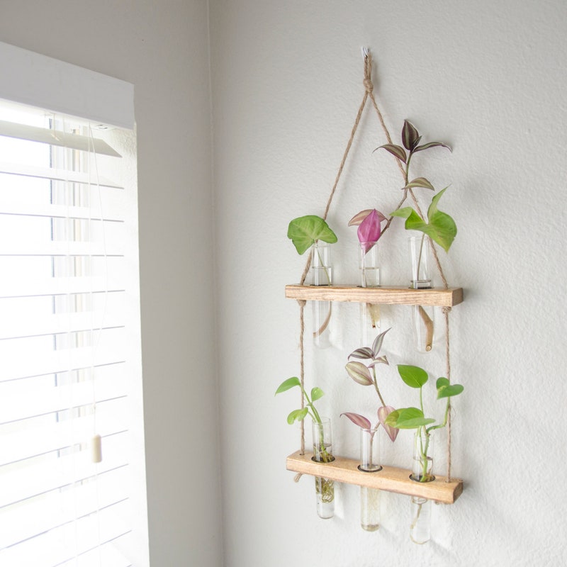 Macrame Test Tube Planter - Etsy
