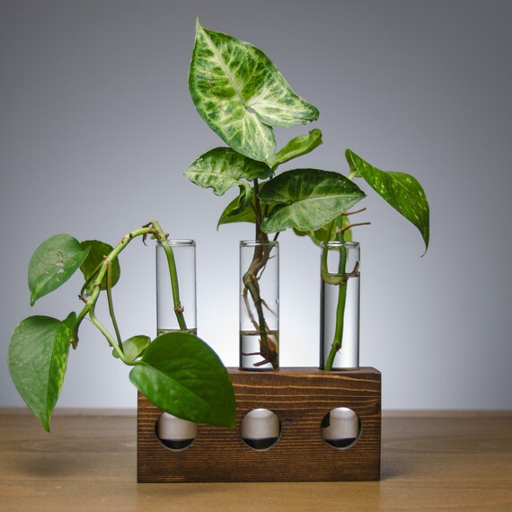 Plant Propagation Station 3 Test Tube Vase Holder - Etsy