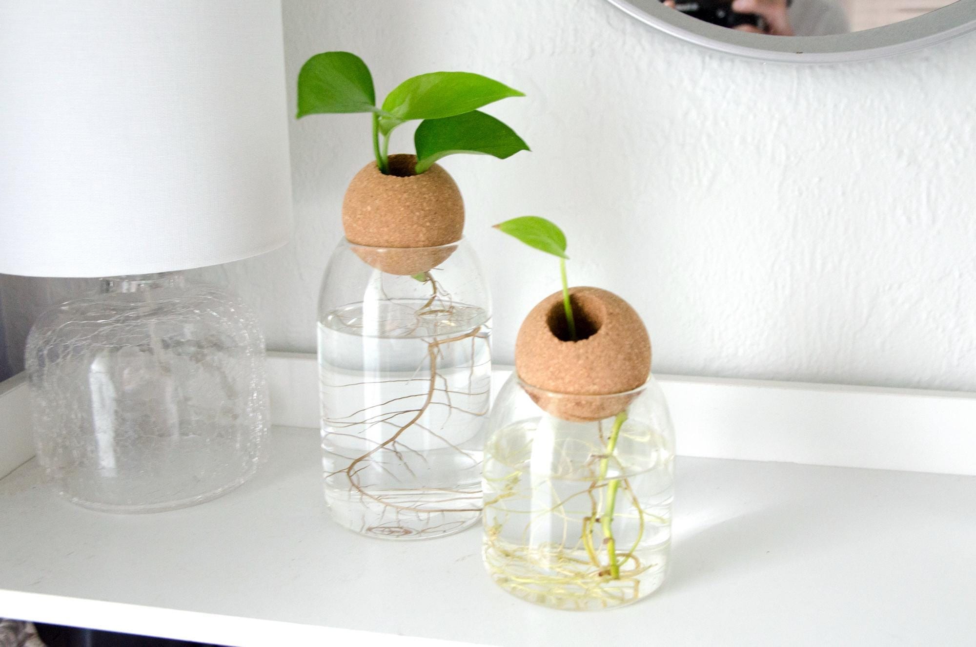 Glass Propagation Vase Hydroponic Spherical Cork Planter - Etsy