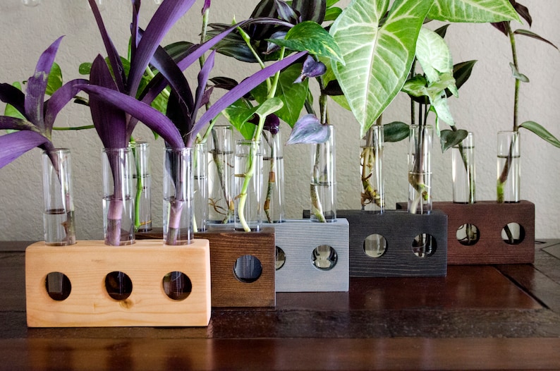 Plant Propagation Station | 3 Test Tube Vase Holder - Etsy