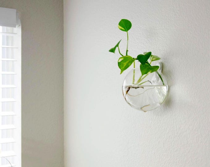 Hanging Glass Wall Planter Propagation Terrarium Vase Quick Hook - Etsy