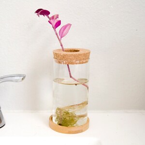 Propagation Jar Hydroponic Vase Cork Lid Plant Terrarium - Etsy