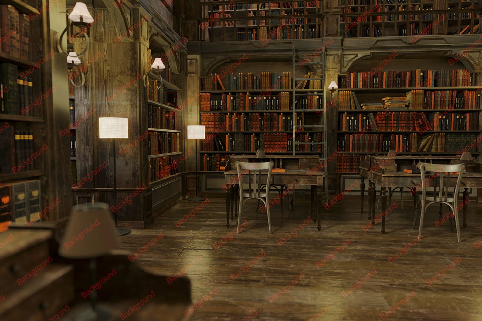 Creepy Library Bundle Backgrounds for Photography Compositions Digital ...