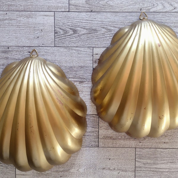 Shell Wall Decor - Etsy