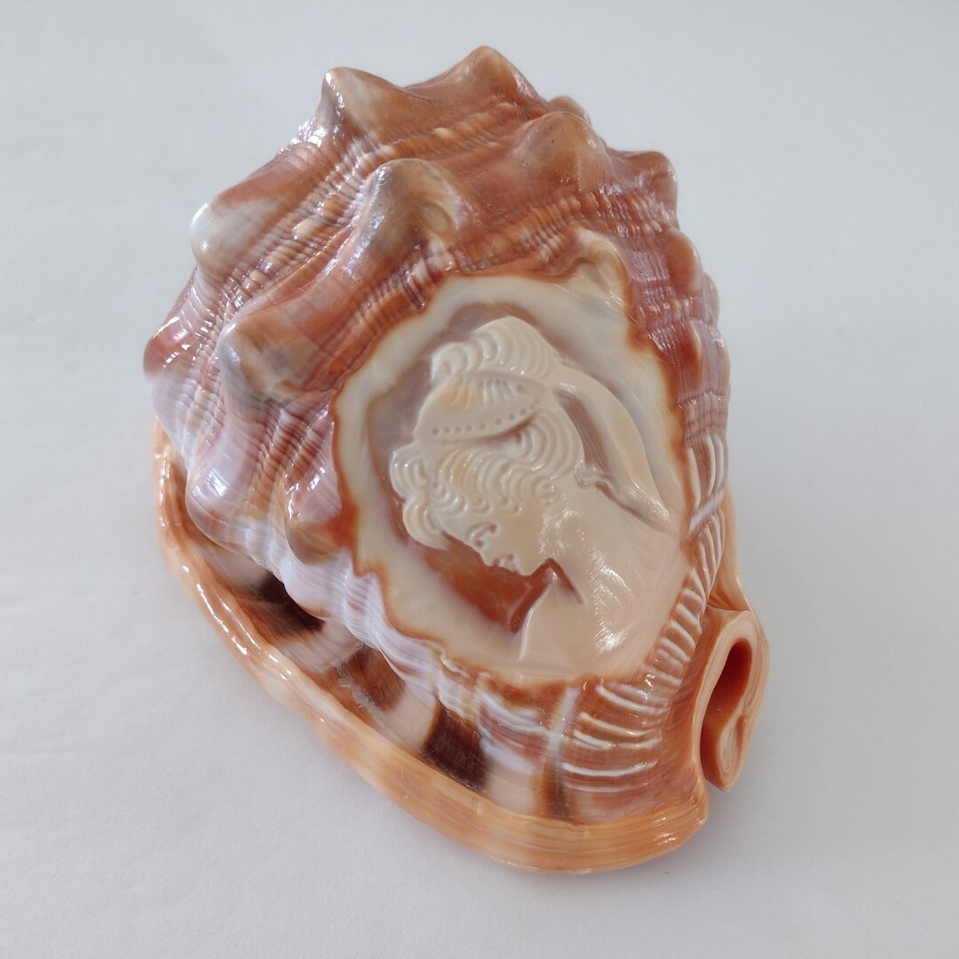 Vintage Mid Century Italian Hand Carved Female Cameo on Conch Shell ...
