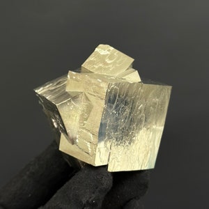 Intergrown Pyrite Cubes Specimen From Mina Ampliación A Victoria ...