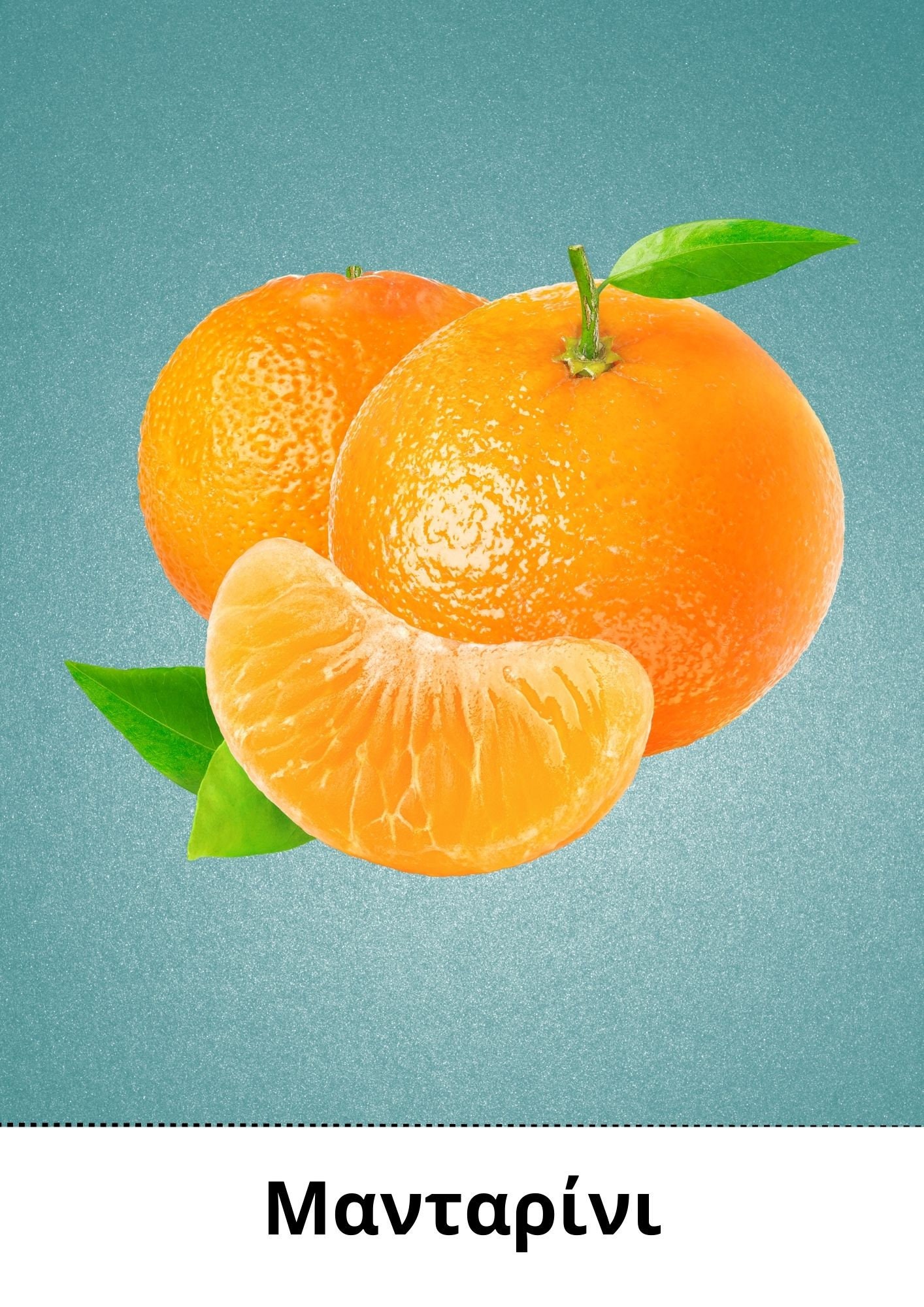 VEGETABLES • 37 Editable Montessori Cards • Flash Cards Nomenclature ...