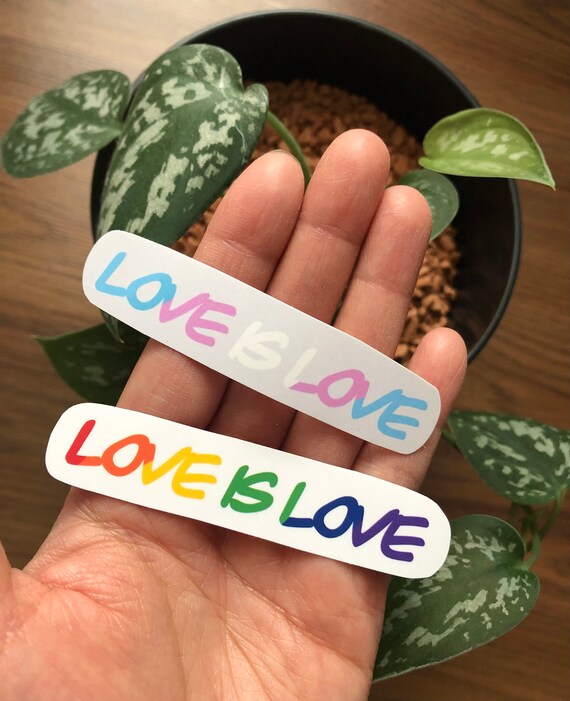 LGBTQ Trans Love is Love Sticker Bullet Journal Scrapbook - Etsy