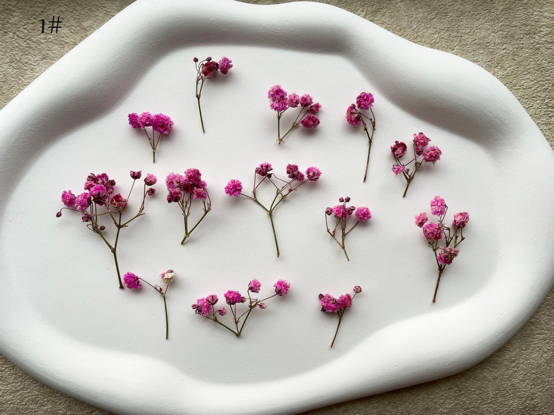 Dried Baby's Breath, Millet Flower, Tiny Letterbox Gift, Small Flower ...