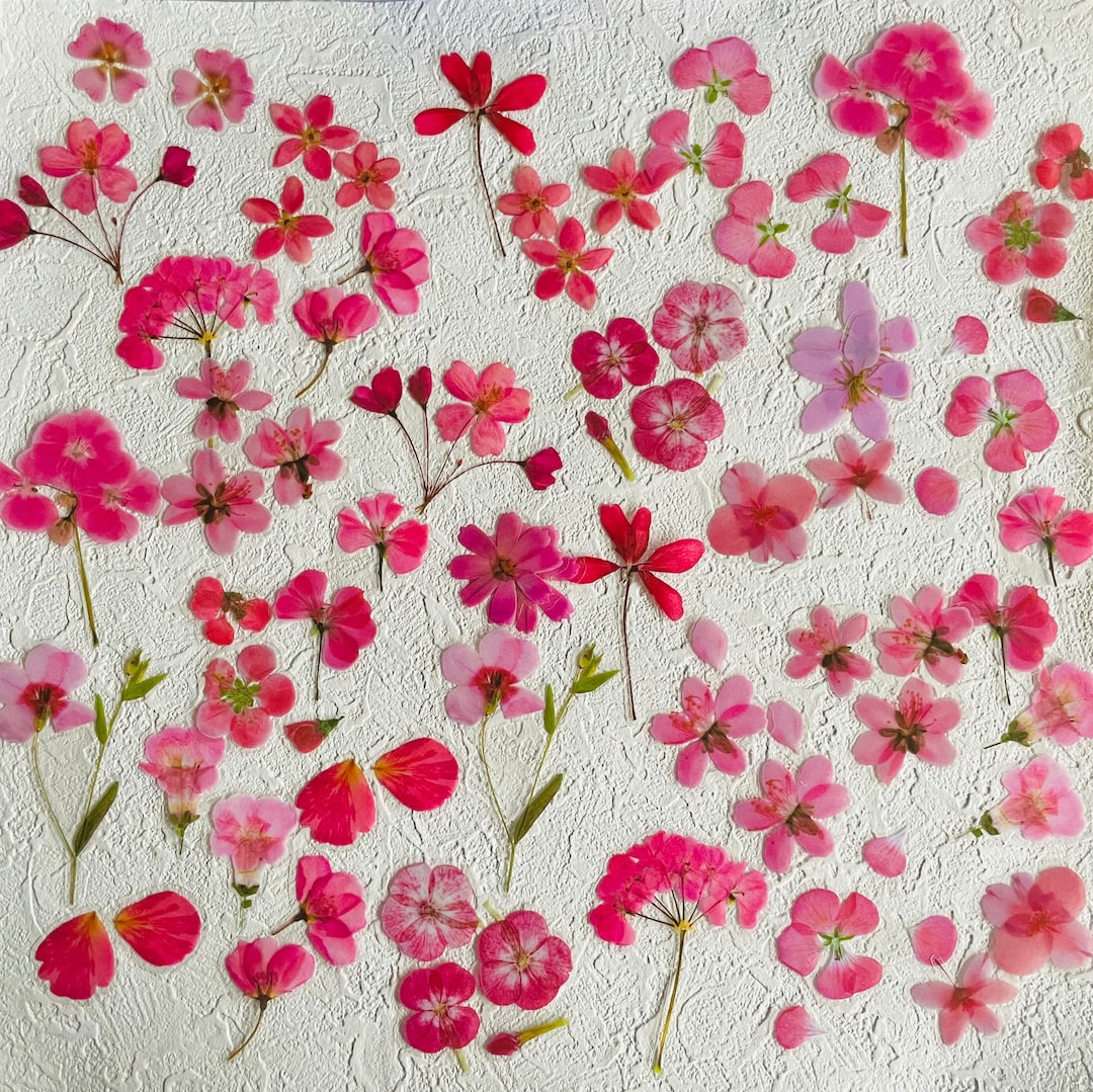40 Pcs Dried Flowers Sticker Set, Various Types of Pink Pressed ...