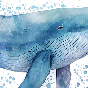 Set of 9 Wonderful Sea Creatures, Marine Life Poster, Whales and ...