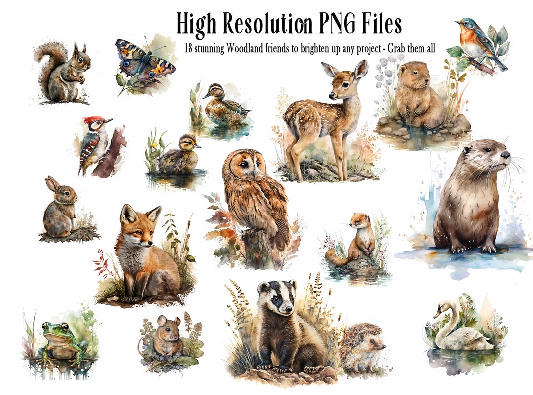 18 Woodland Friends Clip Art, Digital Images - Cards, Invitations ...