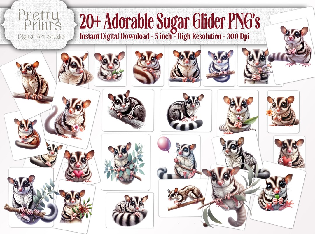 Sugar Glider Marsupial Exotic Pet DIY Craft, Fuzzbutts Journal Stickers ...