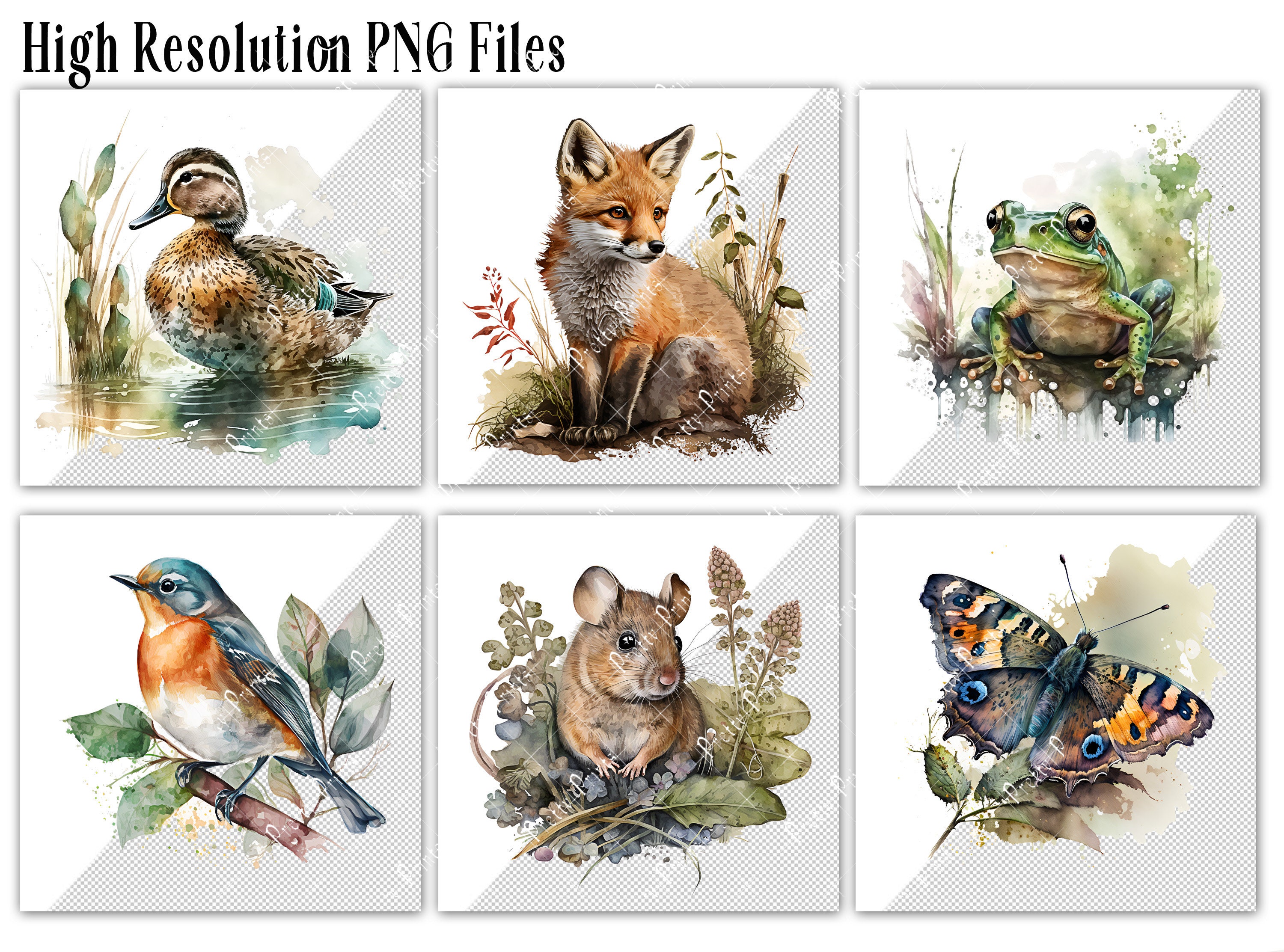 18 Woodland Friends Clip Art, Digital Images Cards, Invitations, Prints ...