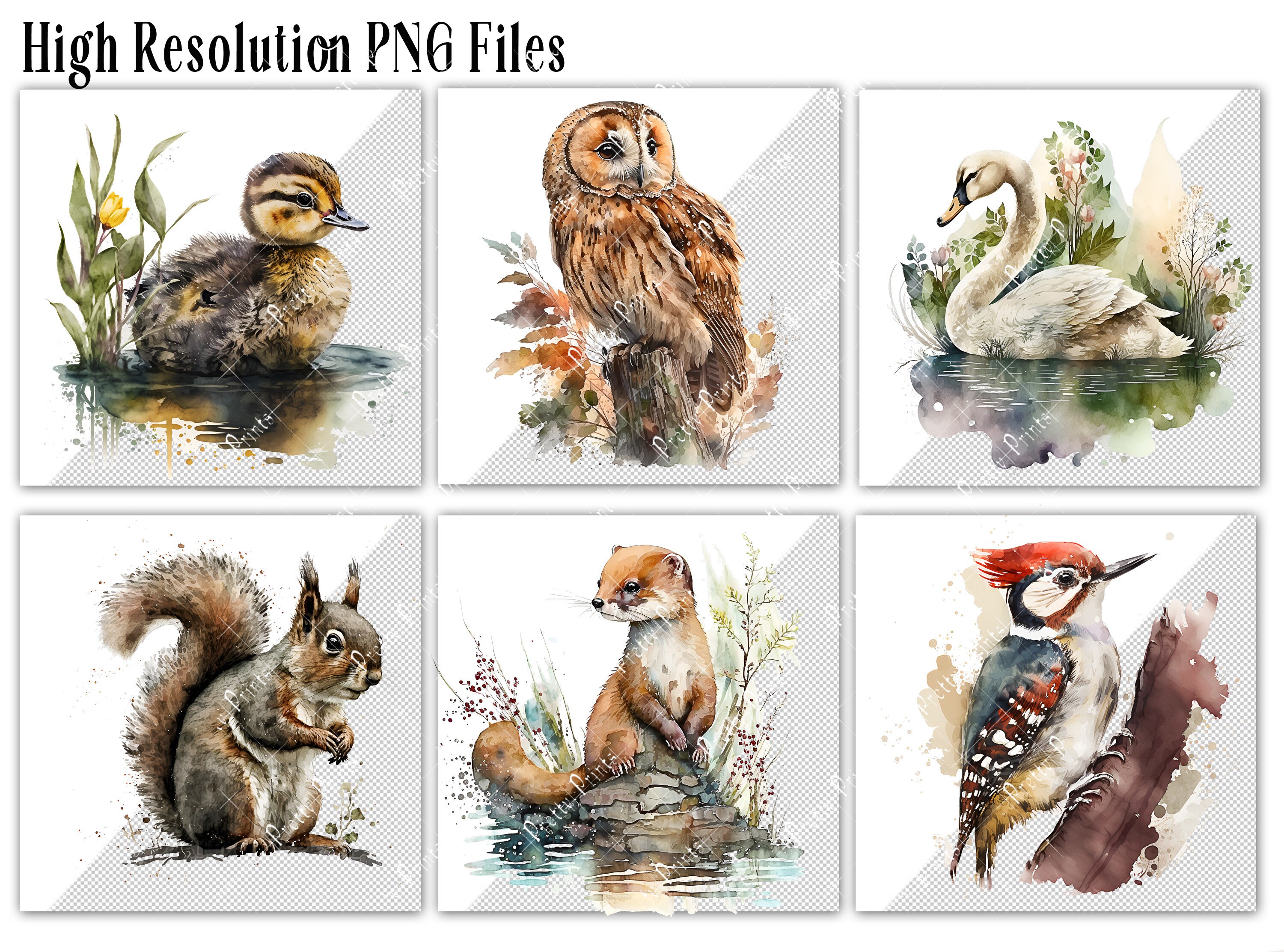 18 Woodland Friends Clip Art, Digital Images Cards, Invitations, Prints ...