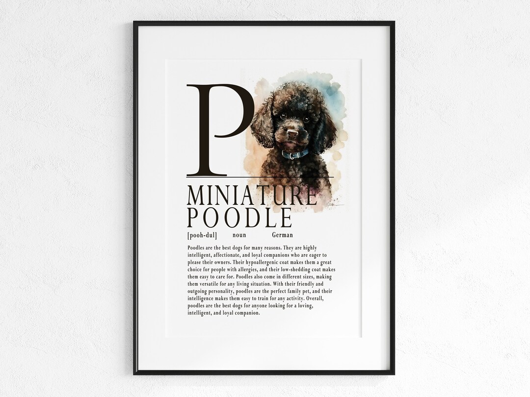 Miniature Poodle Definition Art Print: Puppy Lover Gift (digital ...
