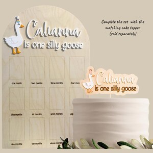 Personalized One Silly Goose 1st Birthday Photo Board - Fits Wallet ...