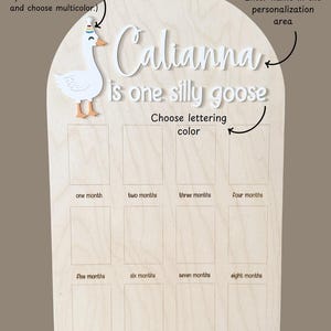 Personalized One Silly Goose 1st Birthday Photo Board - Fits Wallet ...