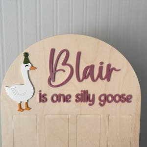 Personalized One Silly Goose 1st Birthday Photo Board - Fits Wallet ...
