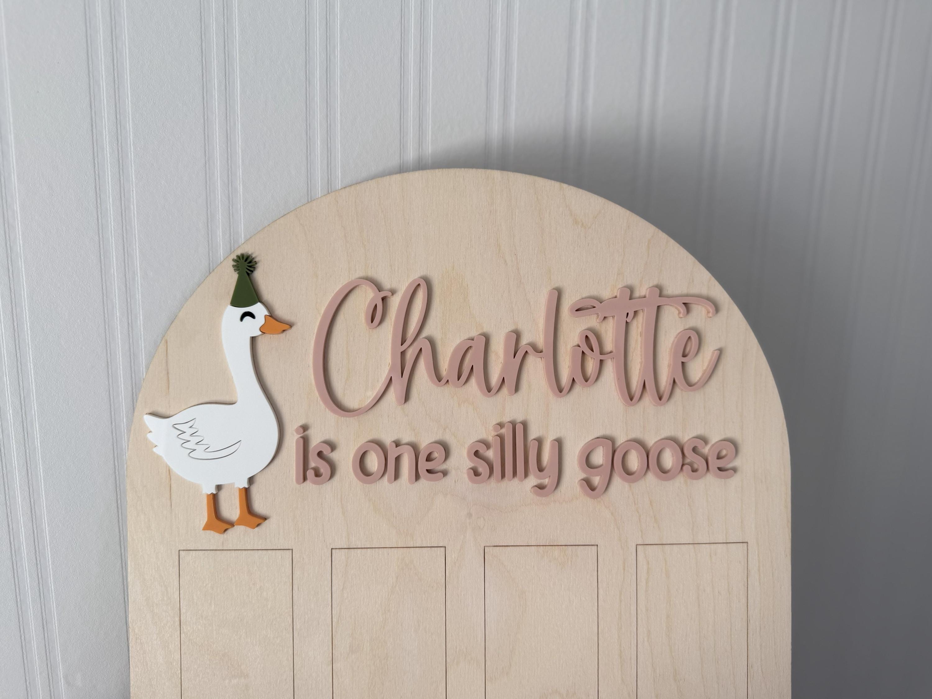 Personalized One Silly Goose 1st Birthday Photo Board - Multiple Sizes ...