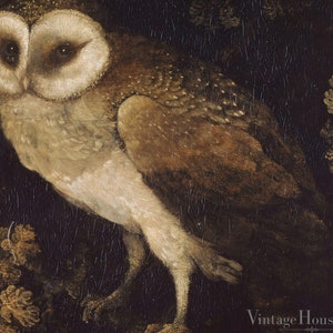 Nature Painting, Owl, Vintage Fine Art, Wall Art, Home Decor, Digital ...