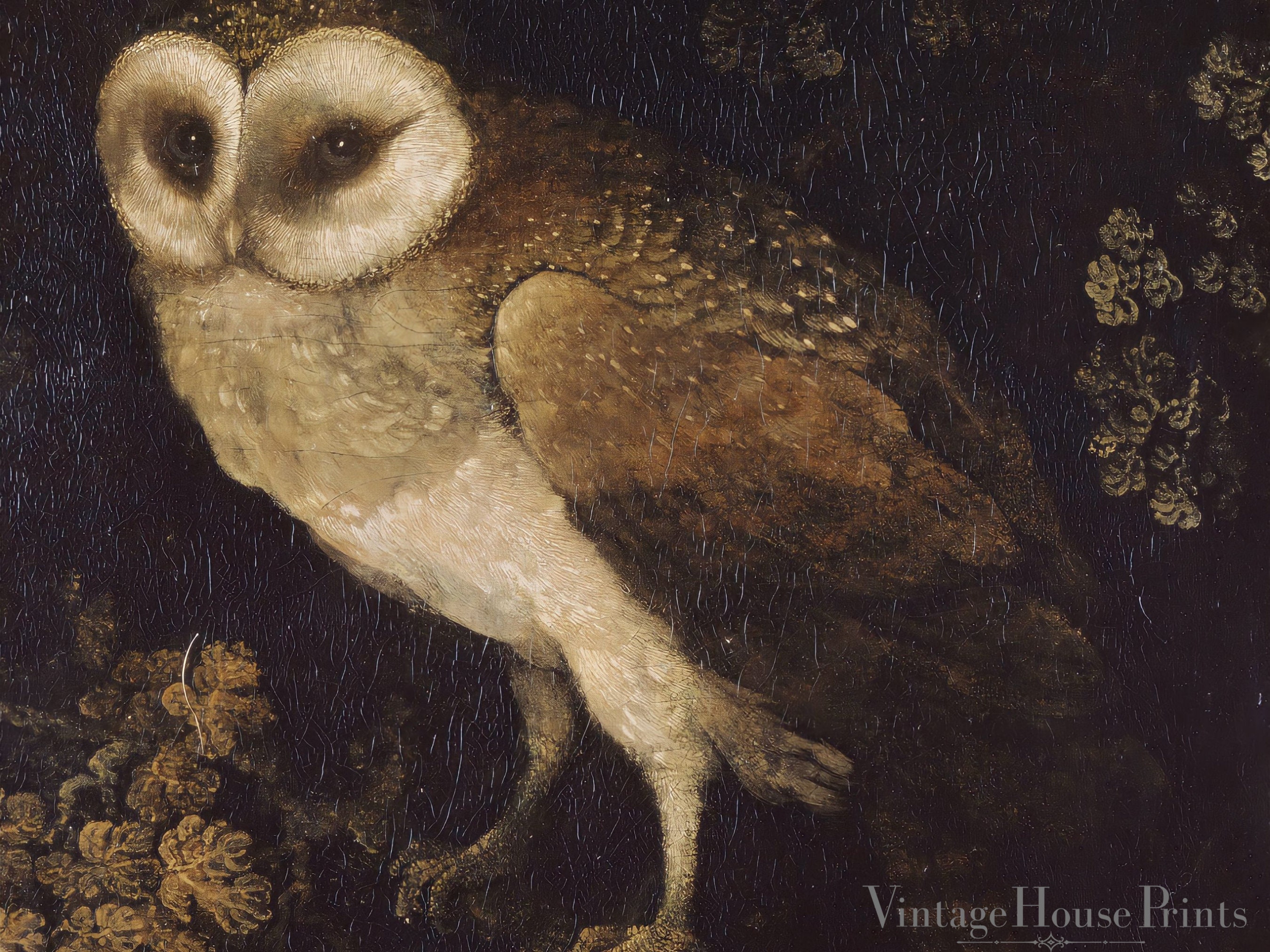 Nature Painting, Owl, Vintage Fine Art, Wall Art, Home Decor, Digital ...
