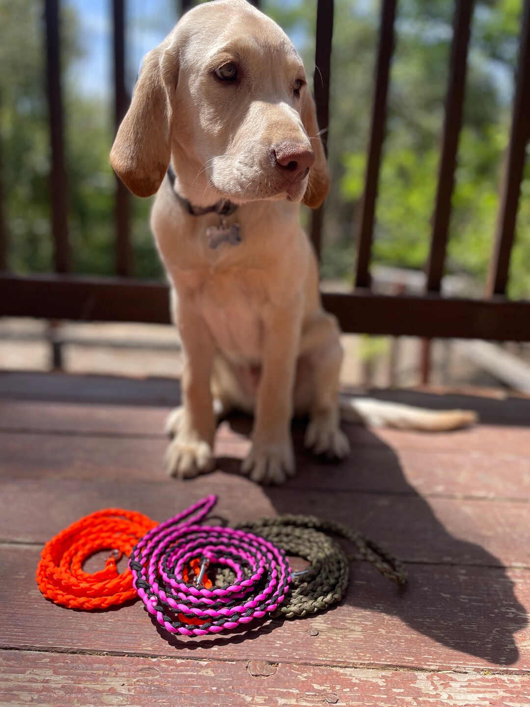 Check Cord // Hunting Check Cord // Paracord Check Cord // Dog Leash ...
