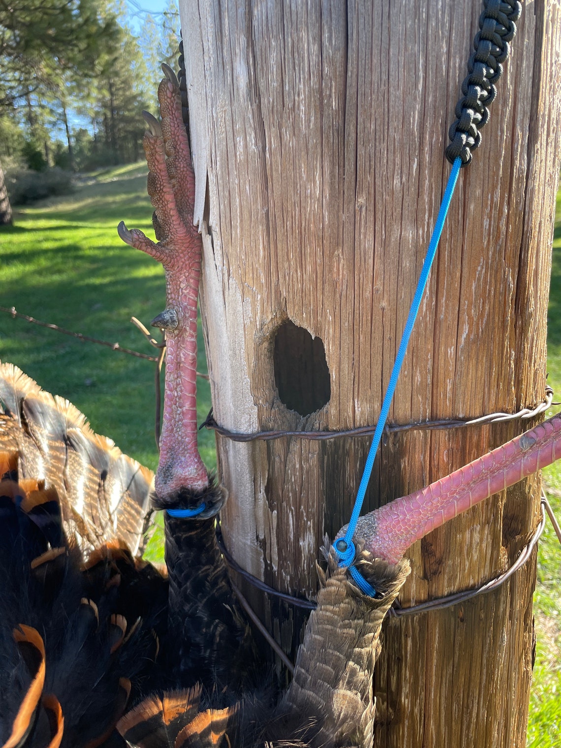 Turkey Tote // Turkey Strap // Turkey Carrier // Turkey Tote Carrier ...