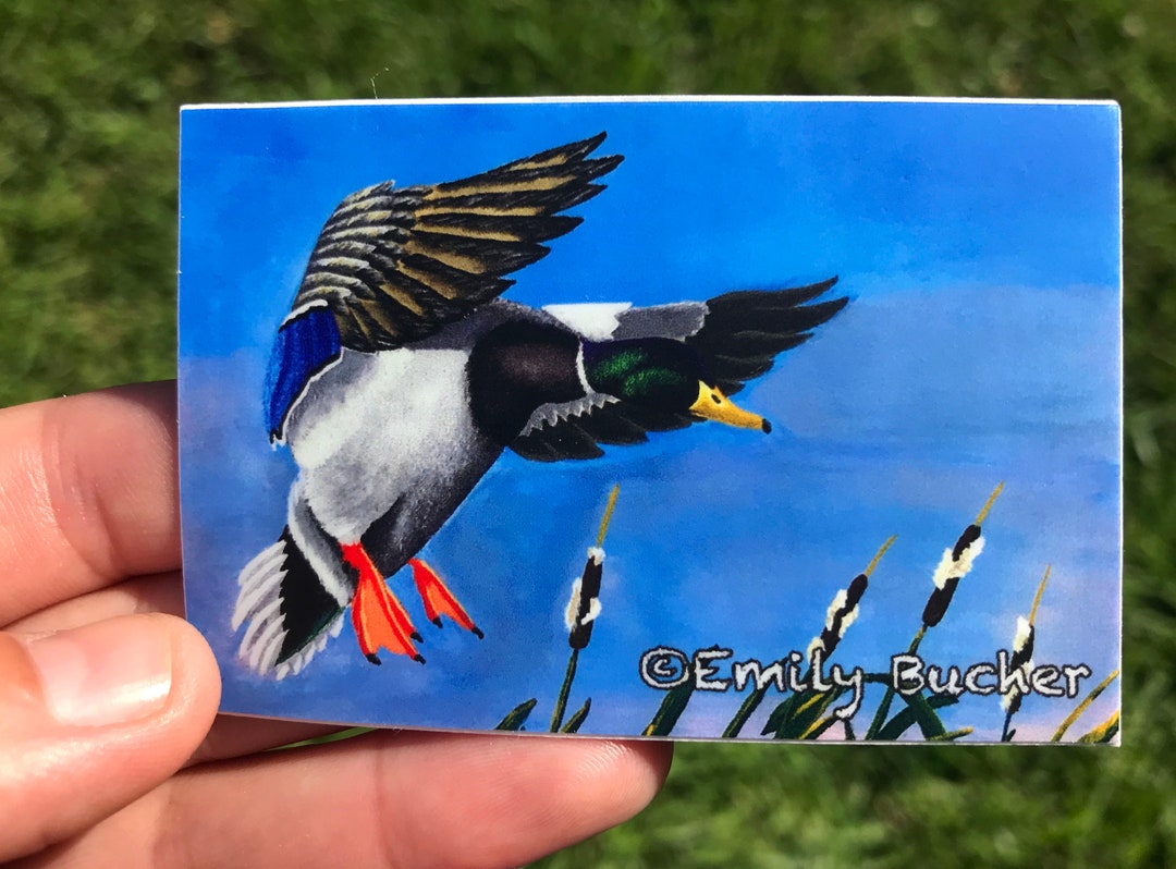 Mallard Flying Vinyl Sticker Decal | Emily Bucher - Etsy