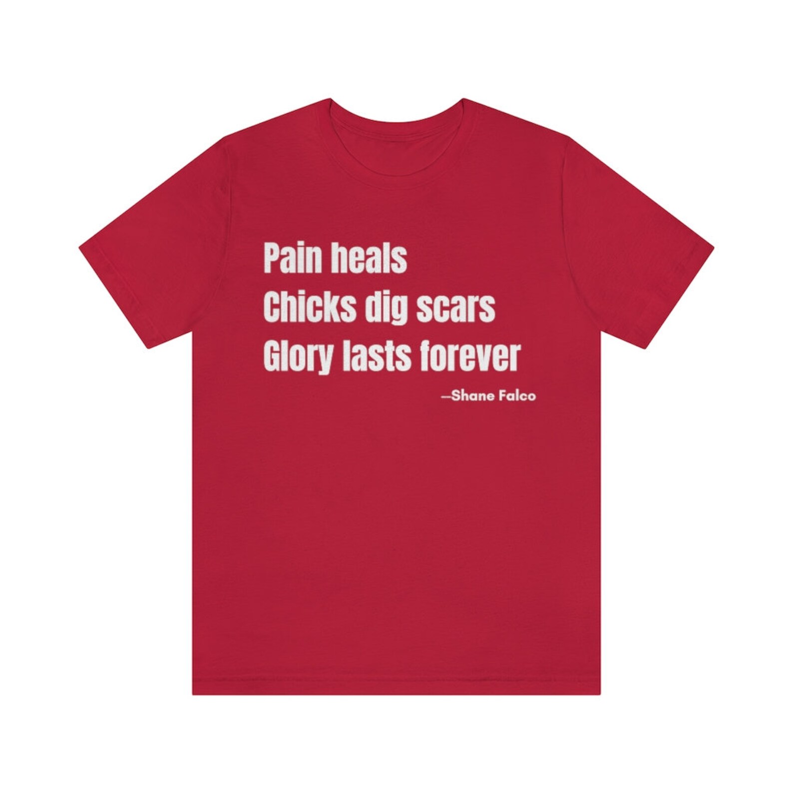 Pain Heals Chicks Dig Scars Glory Lasts Forever T-shirt - Etsy