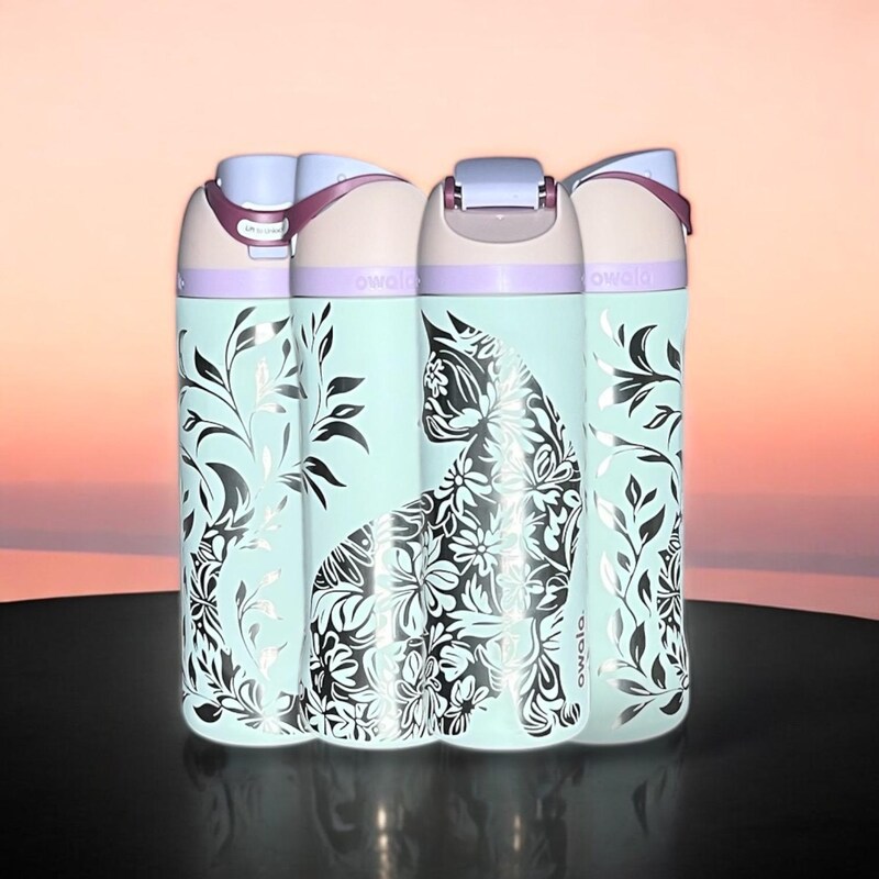 Owala Cat Water Bottle - Etsy