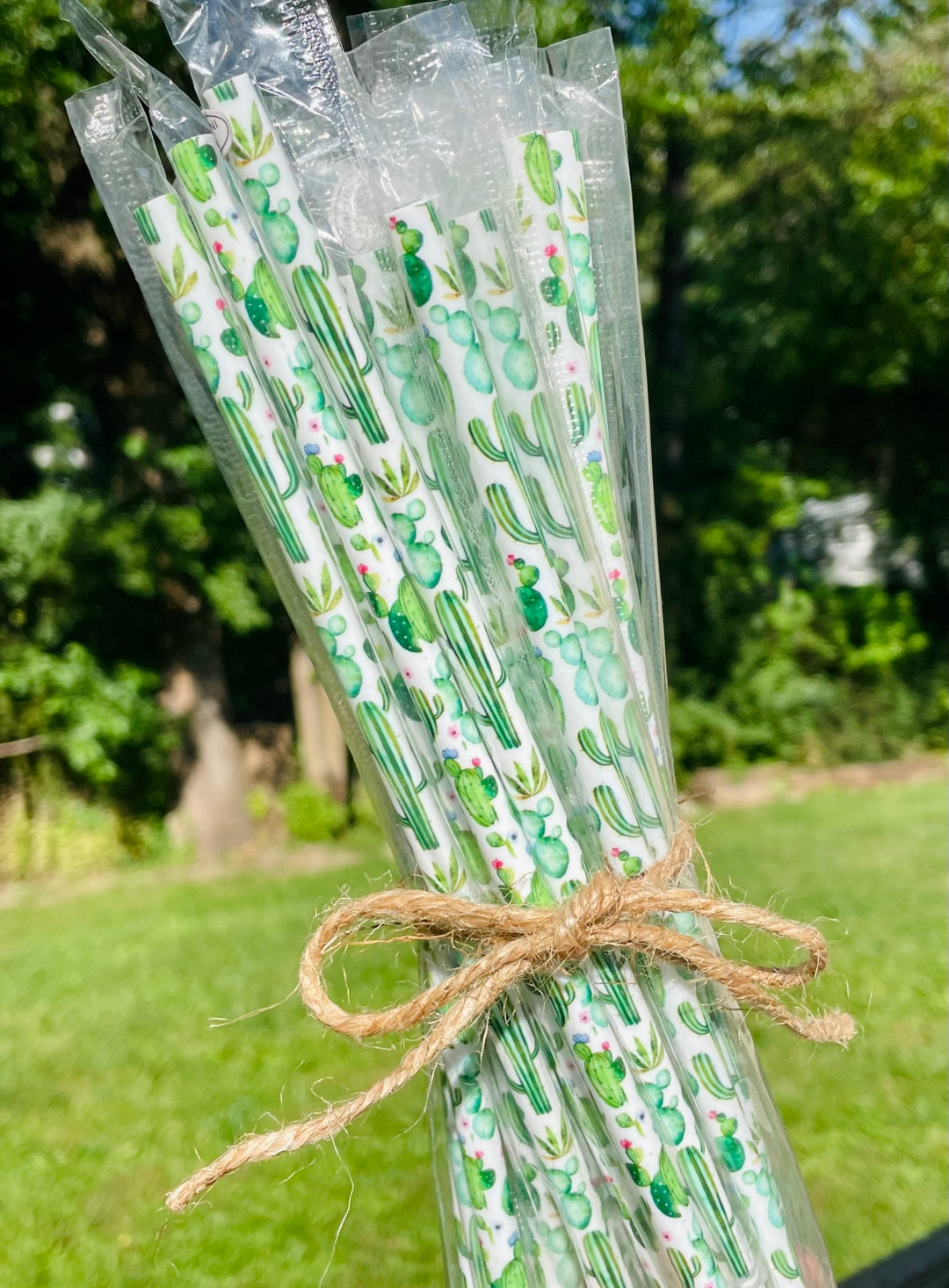Succulents 9” Reusable Individually Wrapped PP Straws With Rim Stopper ...
